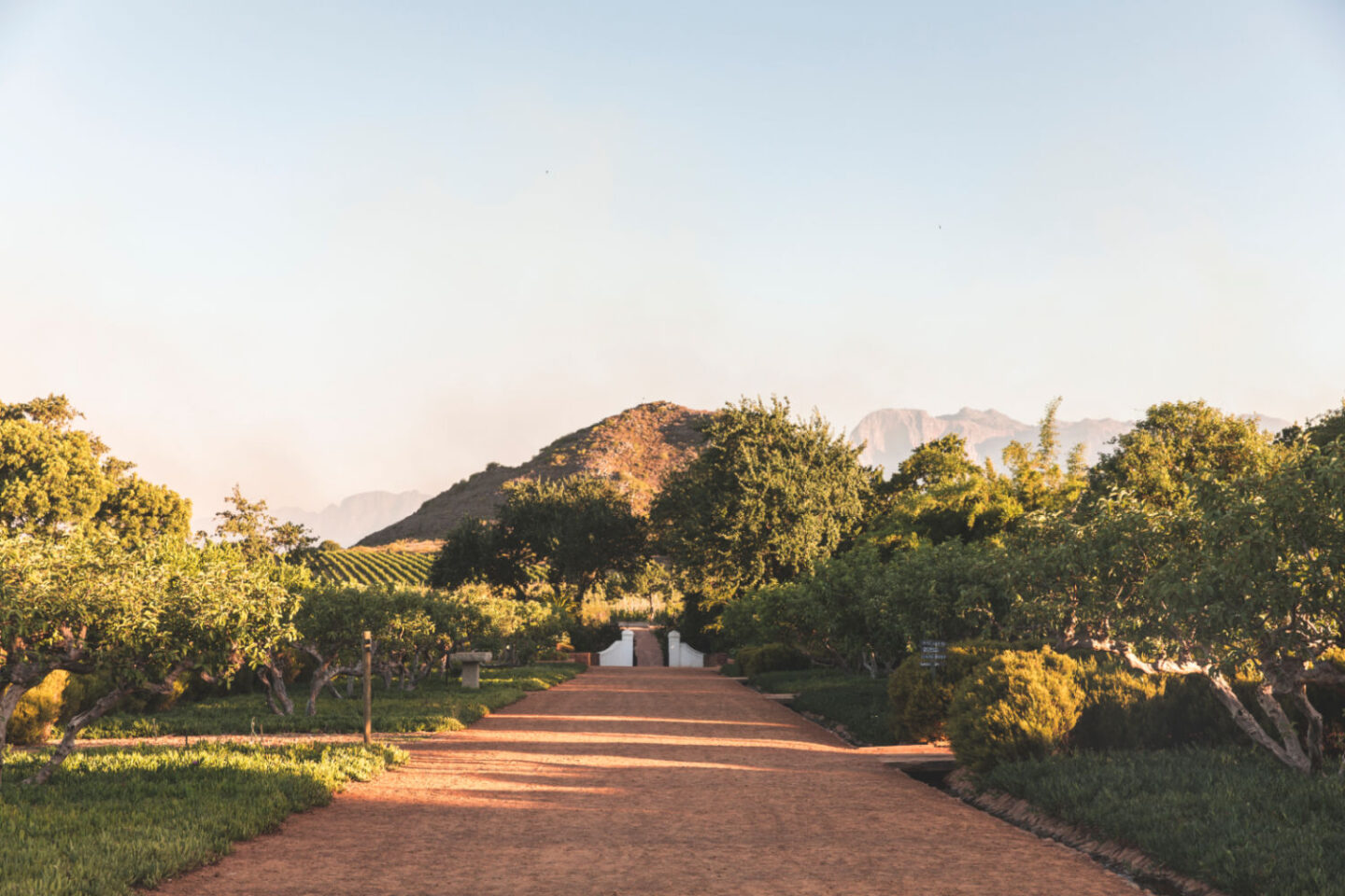 Babylonstoren Wine Farm: A Heavenly Winter Escape
